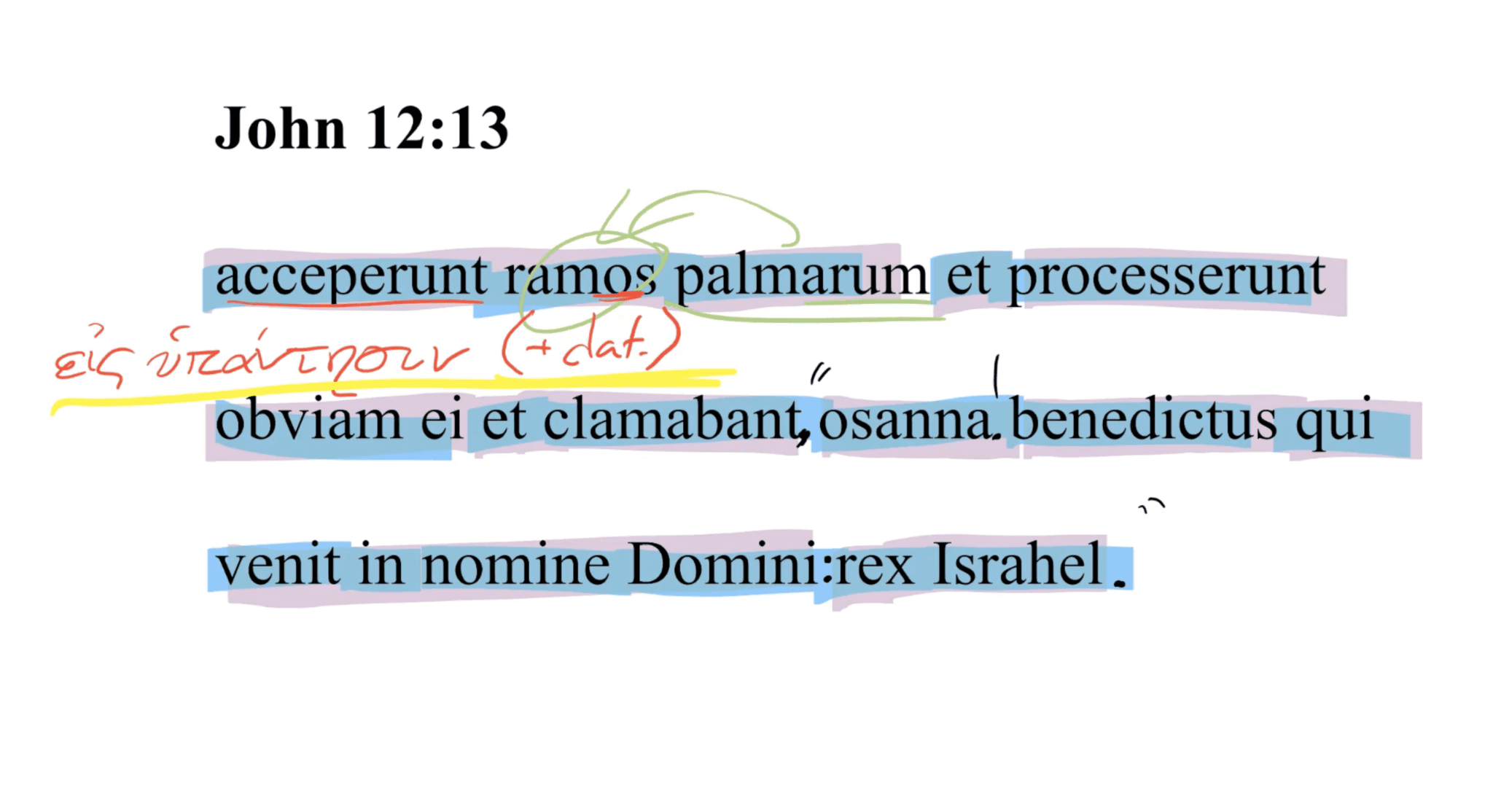 John 12:13 Latin Vulgate | Daily Dose of Latin