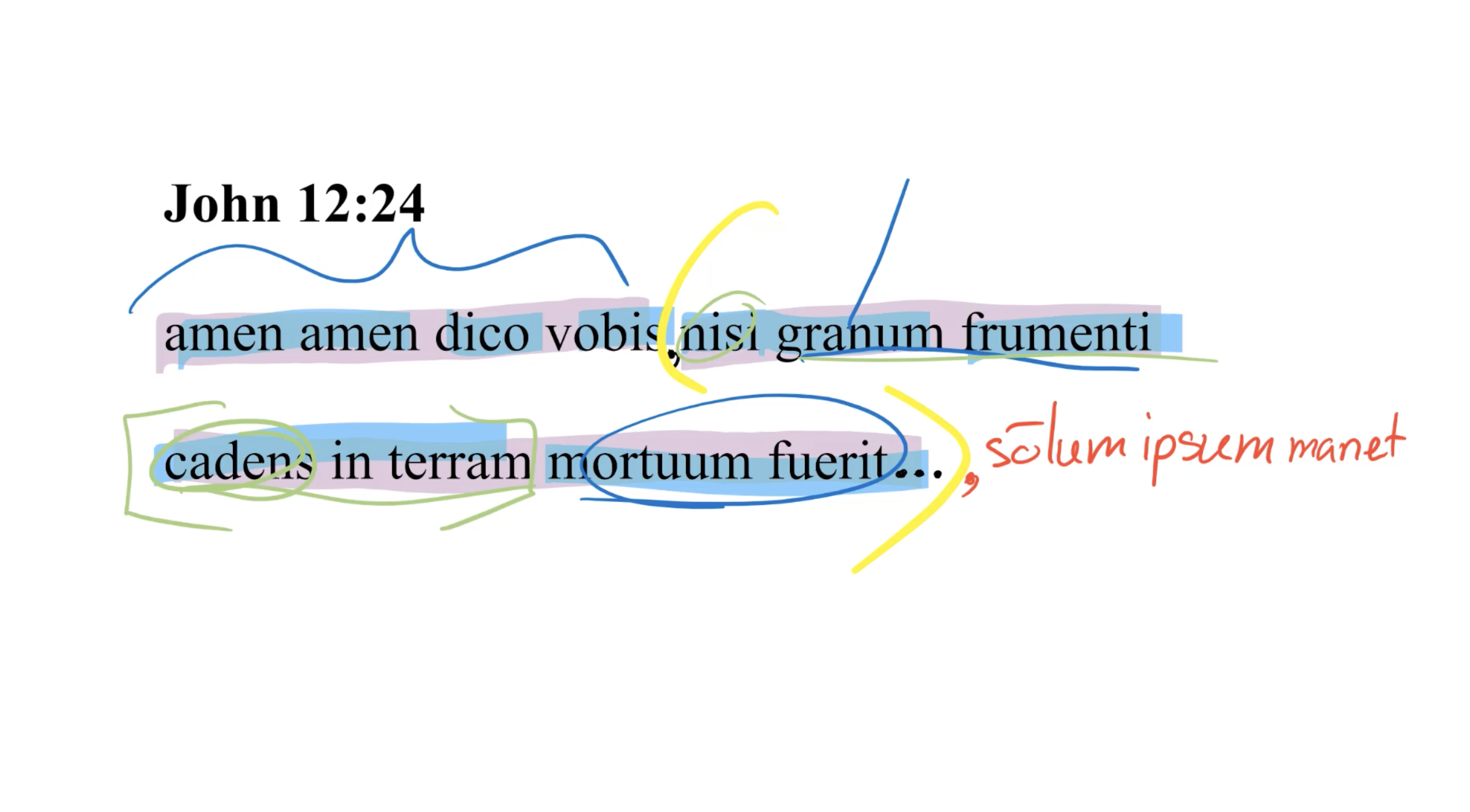 John 12:24 Latin Vulgate | Daily Dose of Latin