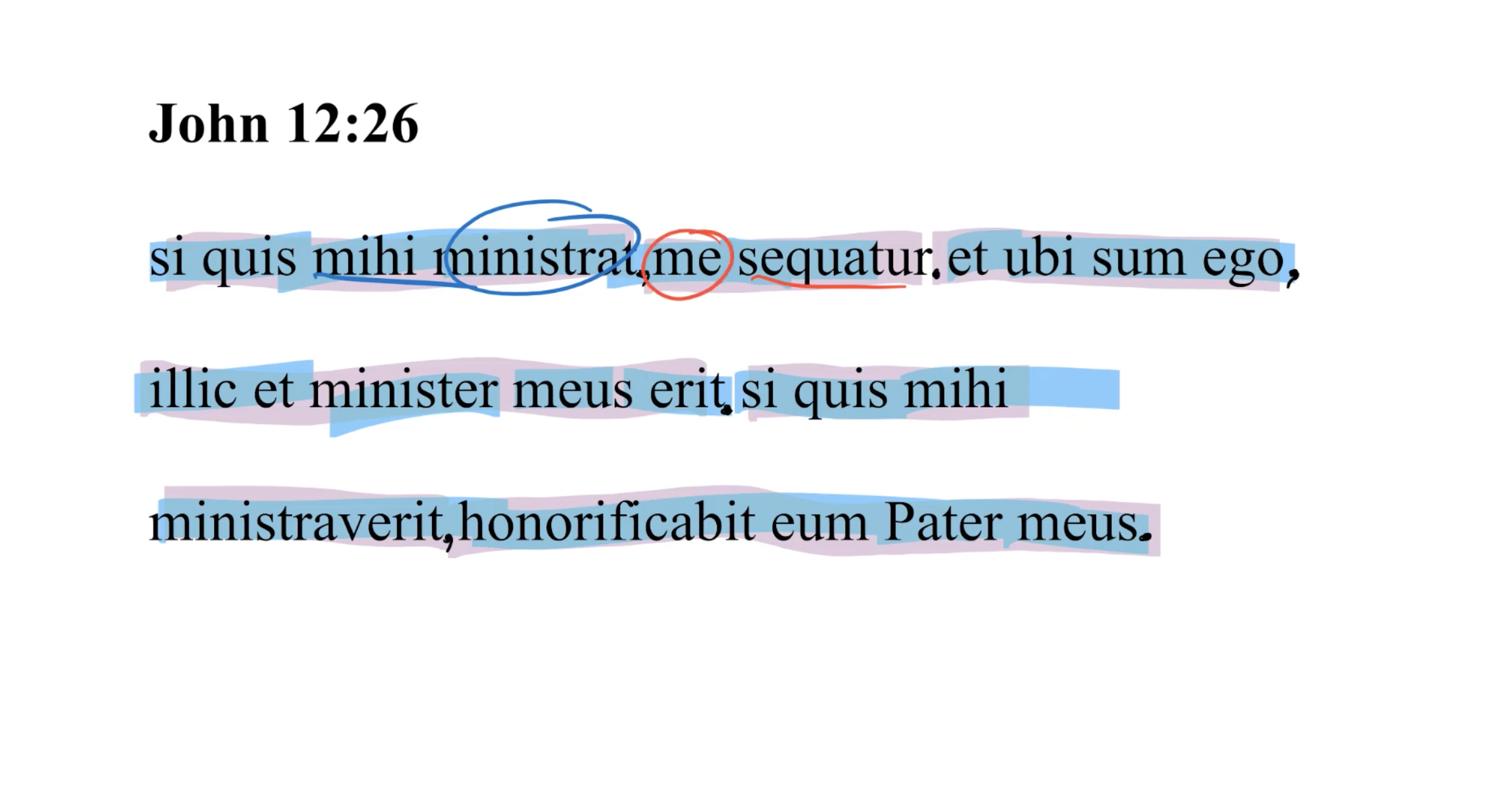John 12:26 Latin Vulgate | Daily Dose of Latin