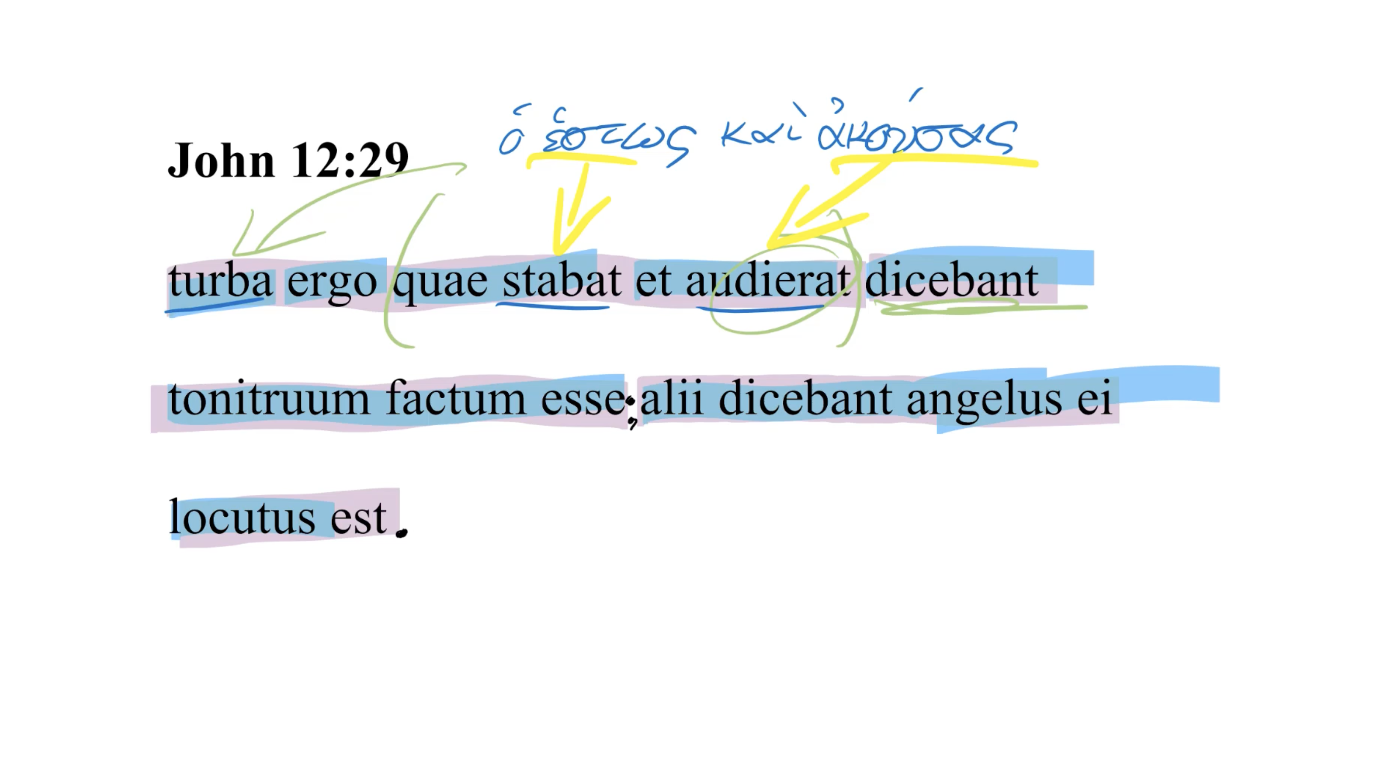 John 12:29 Latin Vulgate | Daily Dose of Latin