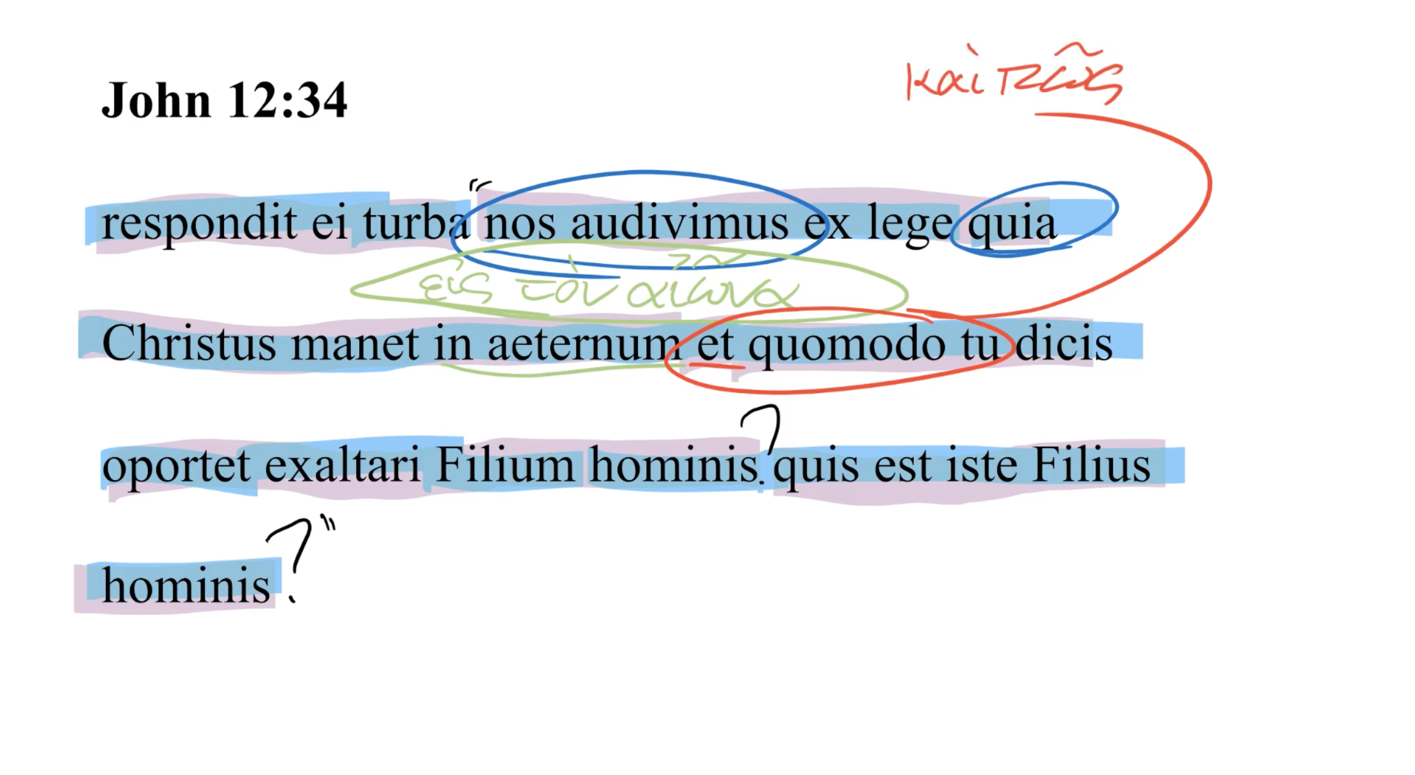 John 12:34 Latin Vulgate | Daily Dose of Latin