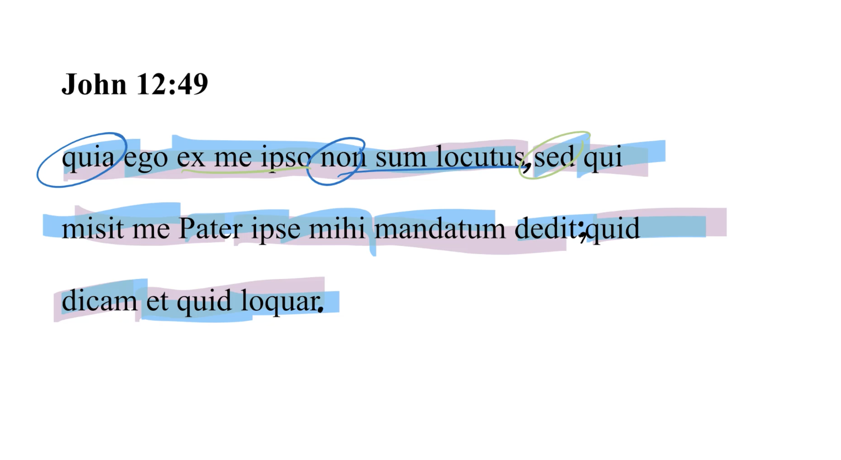John 12:49 Latin Vulgate | Daily Dose of Latin