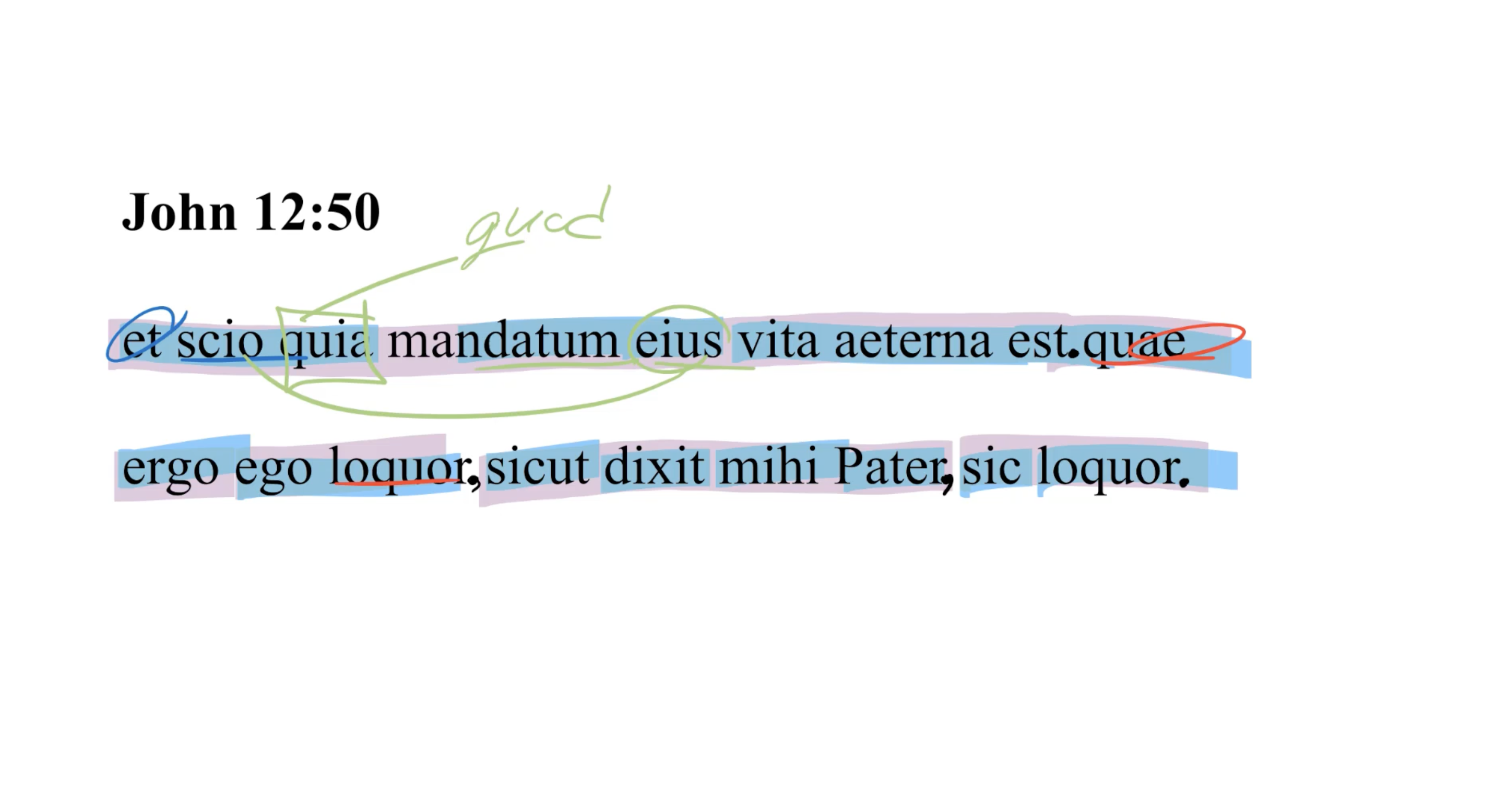 John 12:50 Latin Vulgate | Daily Dose of Latin