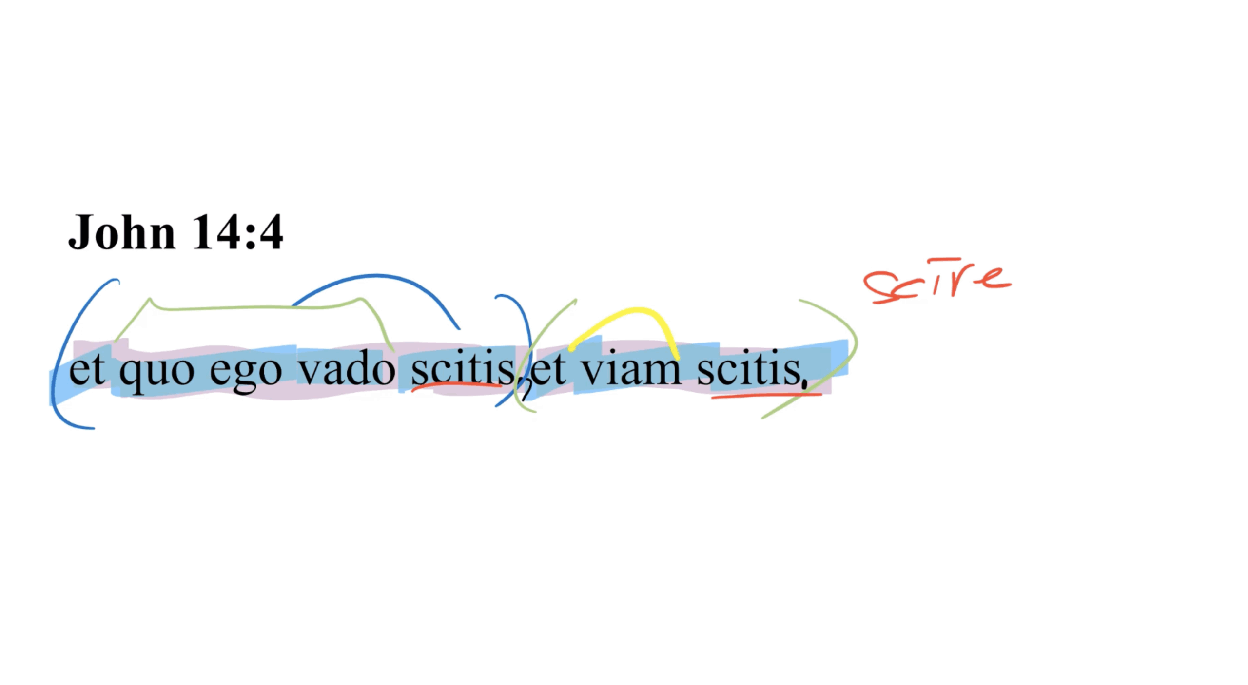 John 14:4 Latin Vulgate | Daily Dose of Latin