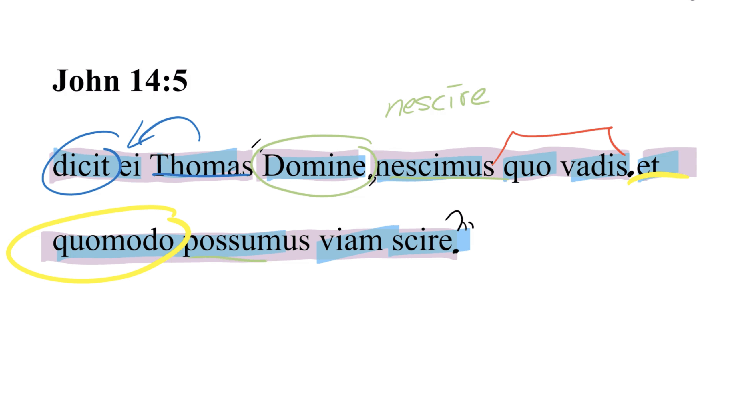 John 14:5 Latin Vulgate | Daily Dose of Latin