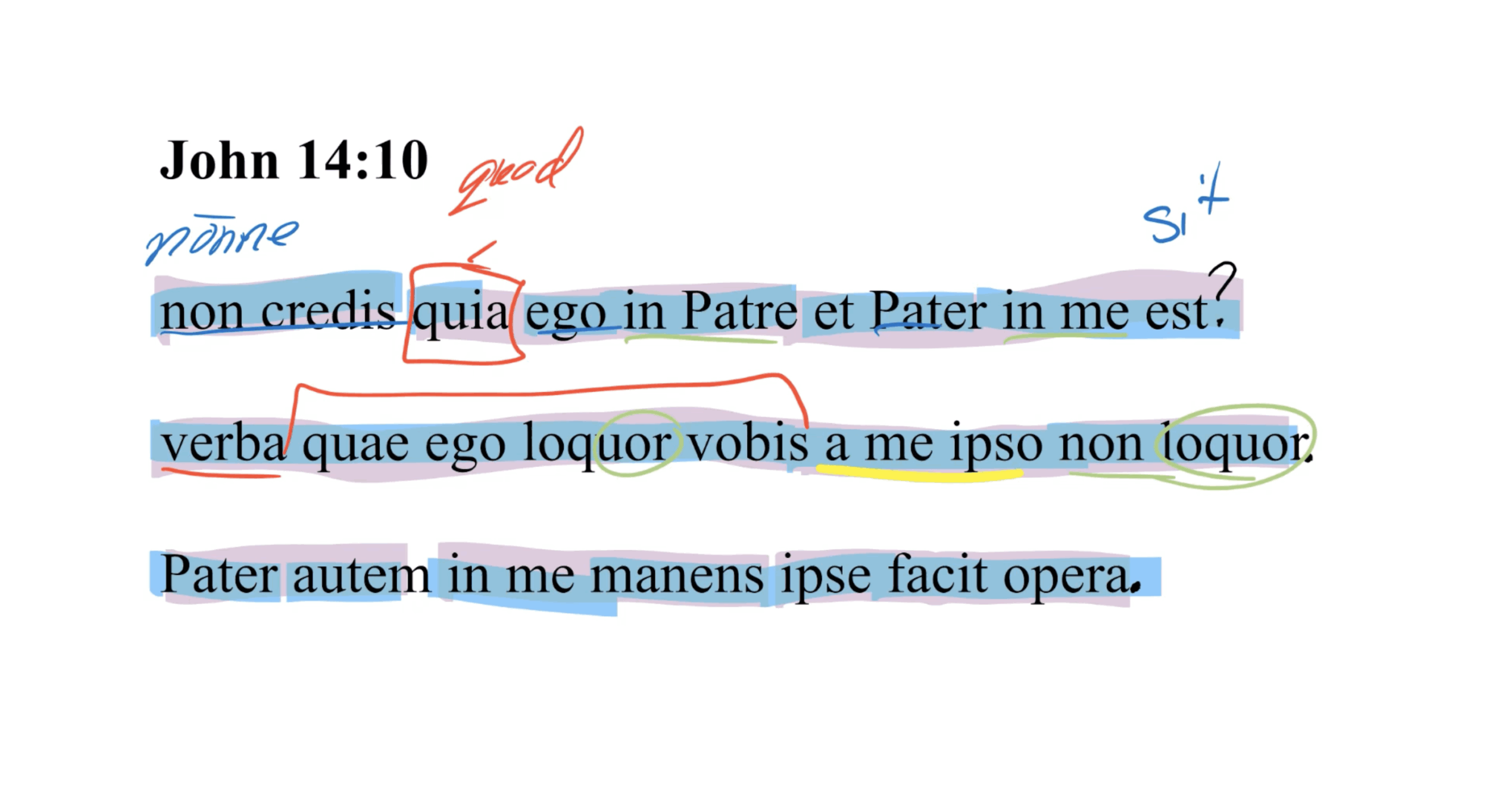 John 14:10 Latin Vulgate | Daily Dose of Latin