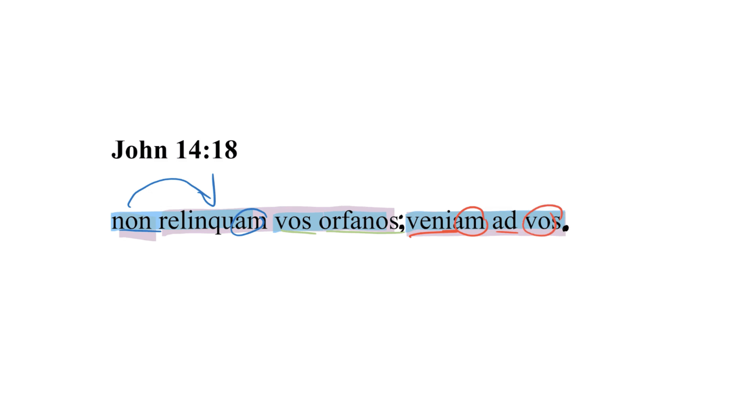 John 14:18 Latin Vulgate | Daily Dose of Latin
