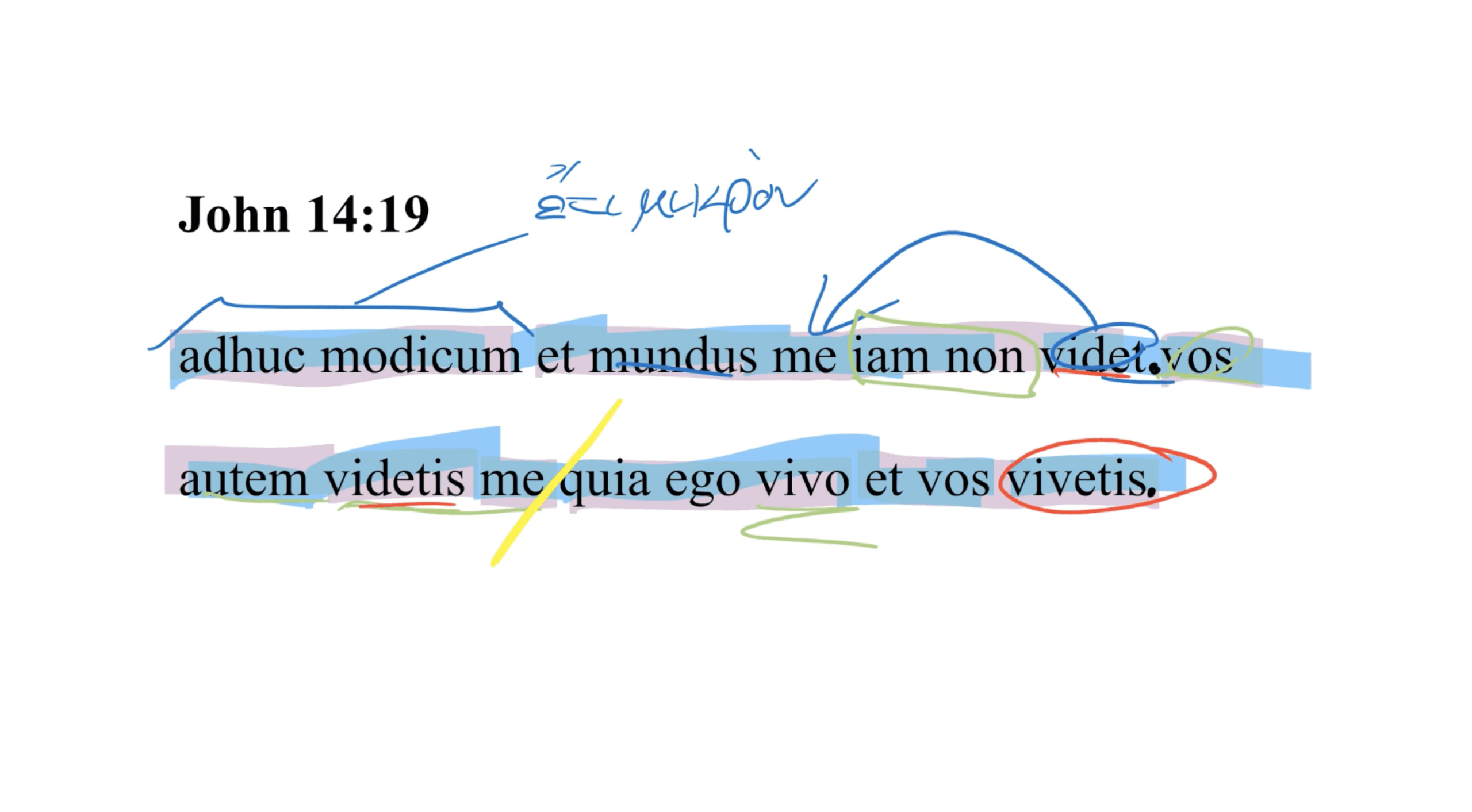 John 14:19 Latin Vulgate | Daily Dose of Latin