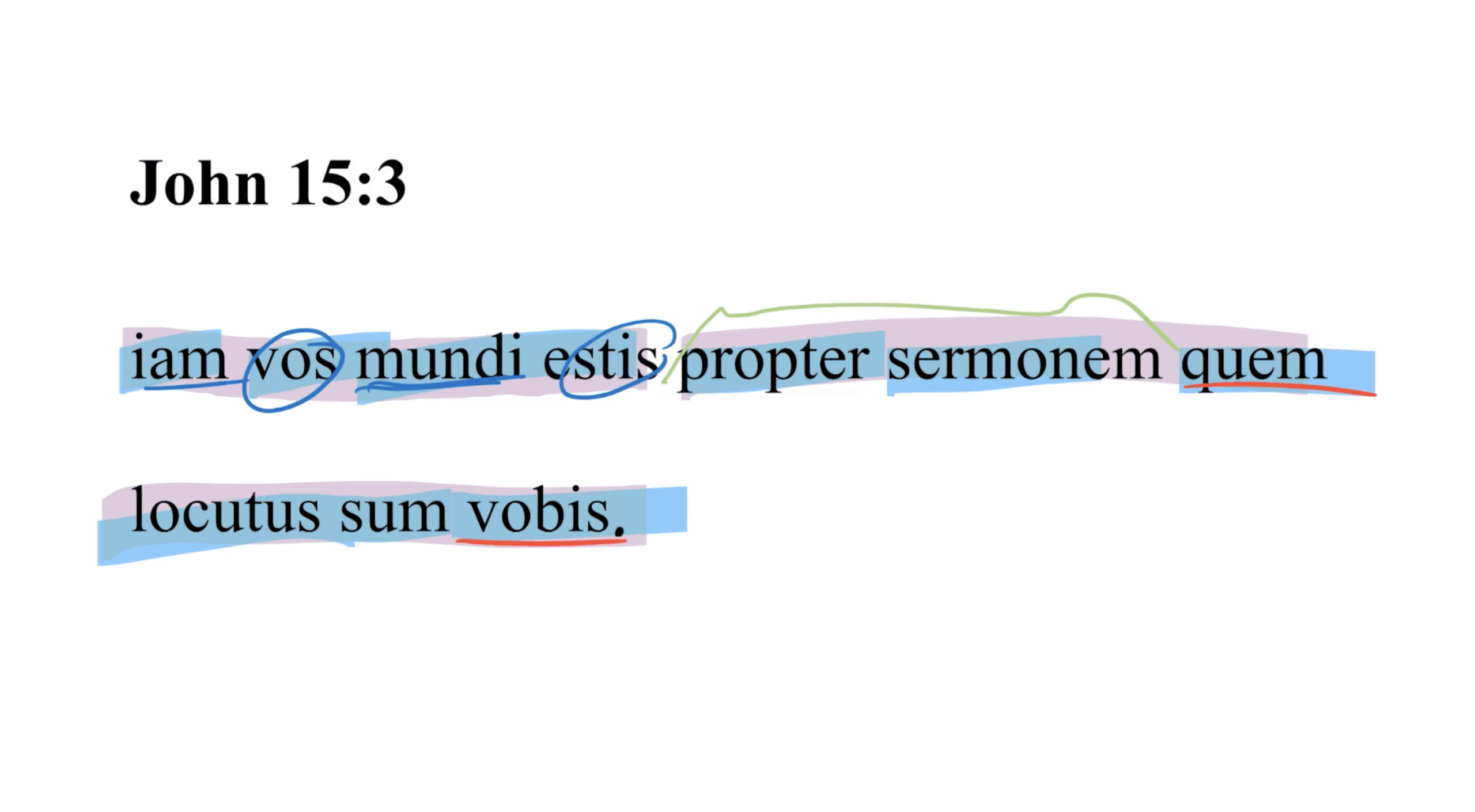 John 15:3 Latin Vulgate | Daily Dose of Latin