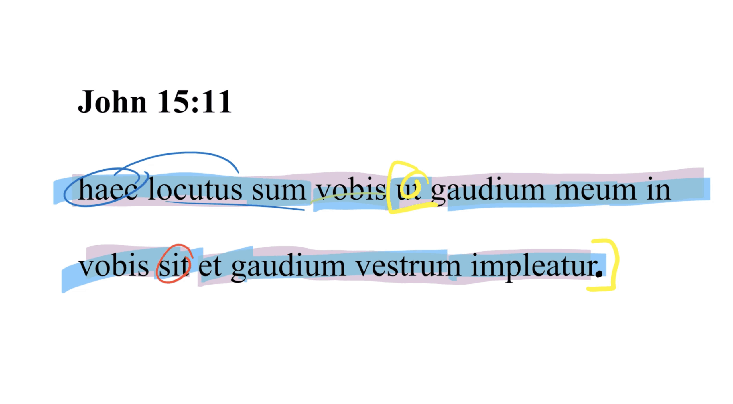 John 15:11 Latin Vulgate | Daily Dose of Latin