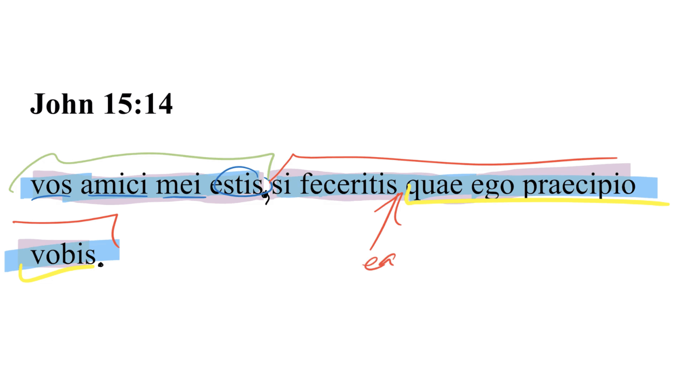 John 15:14 Latin Vulgate | Daily Dose of Latin