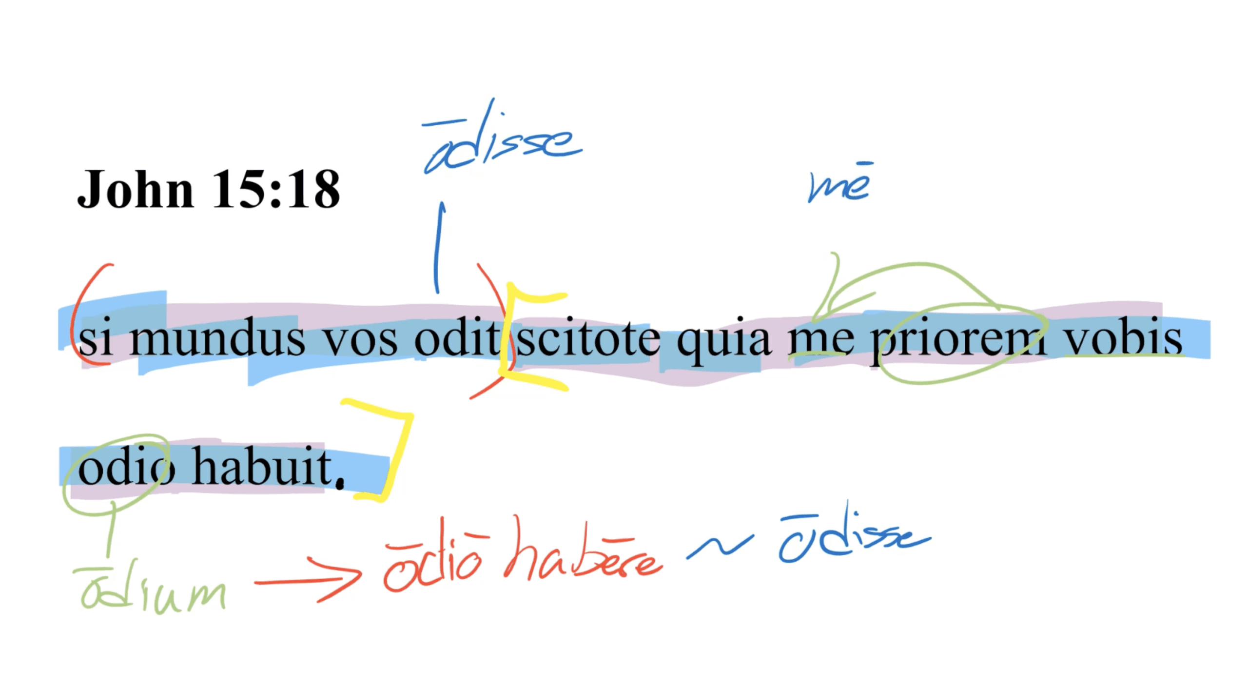 John 15:18 Latin Vulgate | Daily Dose of Latin