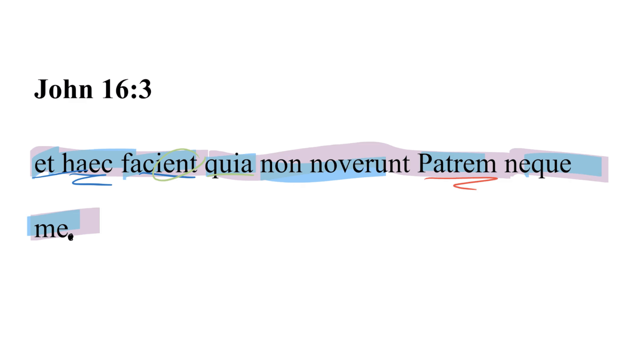 John 16:3 Latin Vulgate | Daily Dose of Latin
