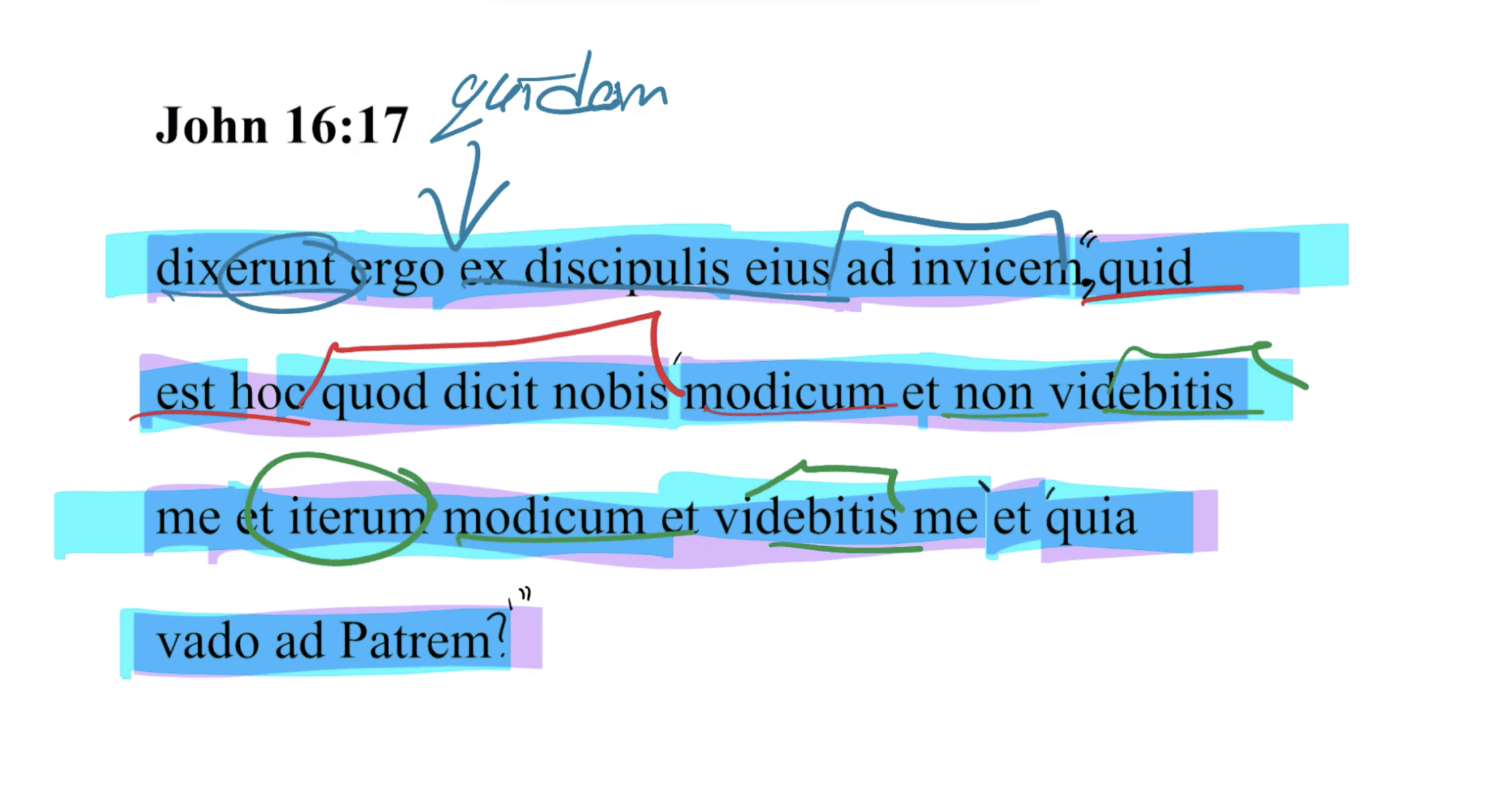 John 16:17 Latin Vulgate | Daily Dose of Latin