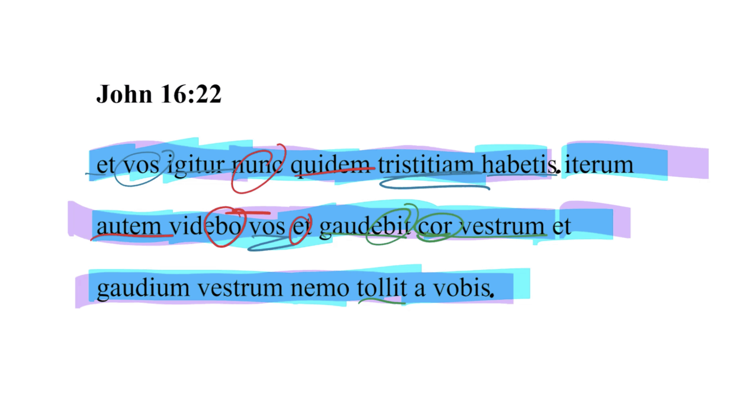 John 16:22 Latin Vulgate | Daily Dose of Latin