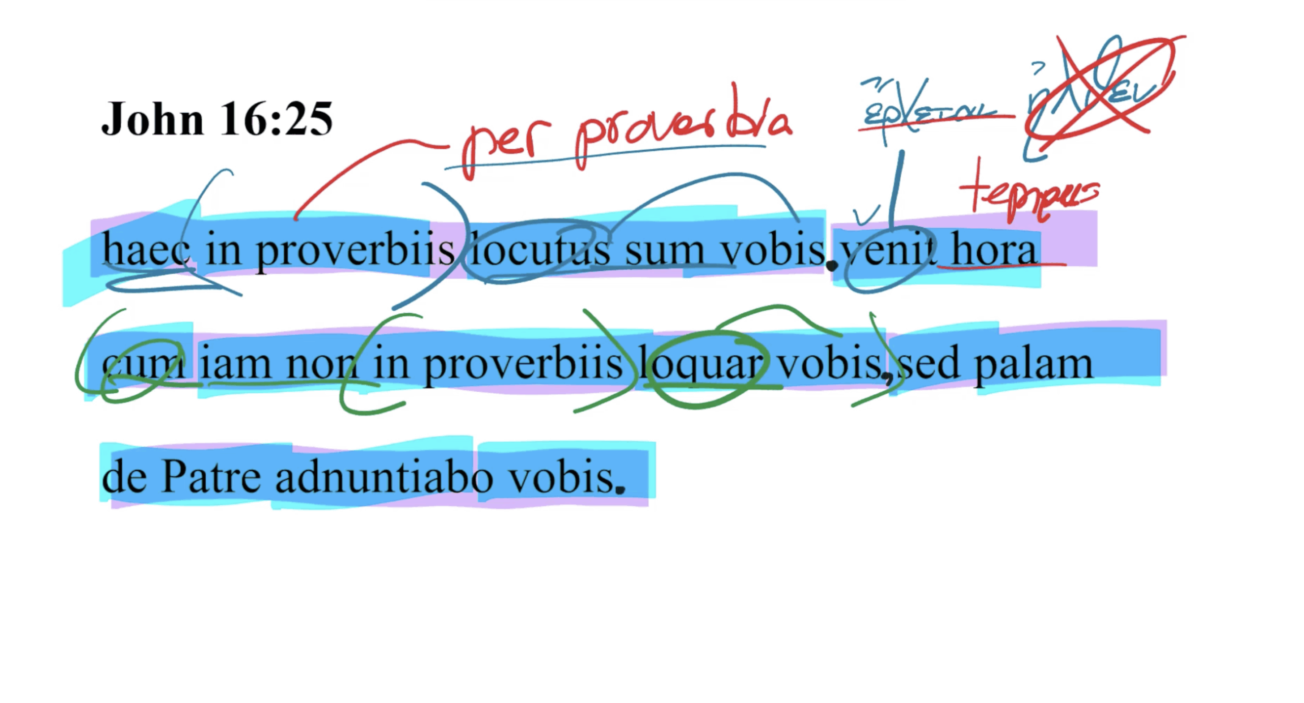 John 16:25 Latin Vulgate | Daily Dose of Latin