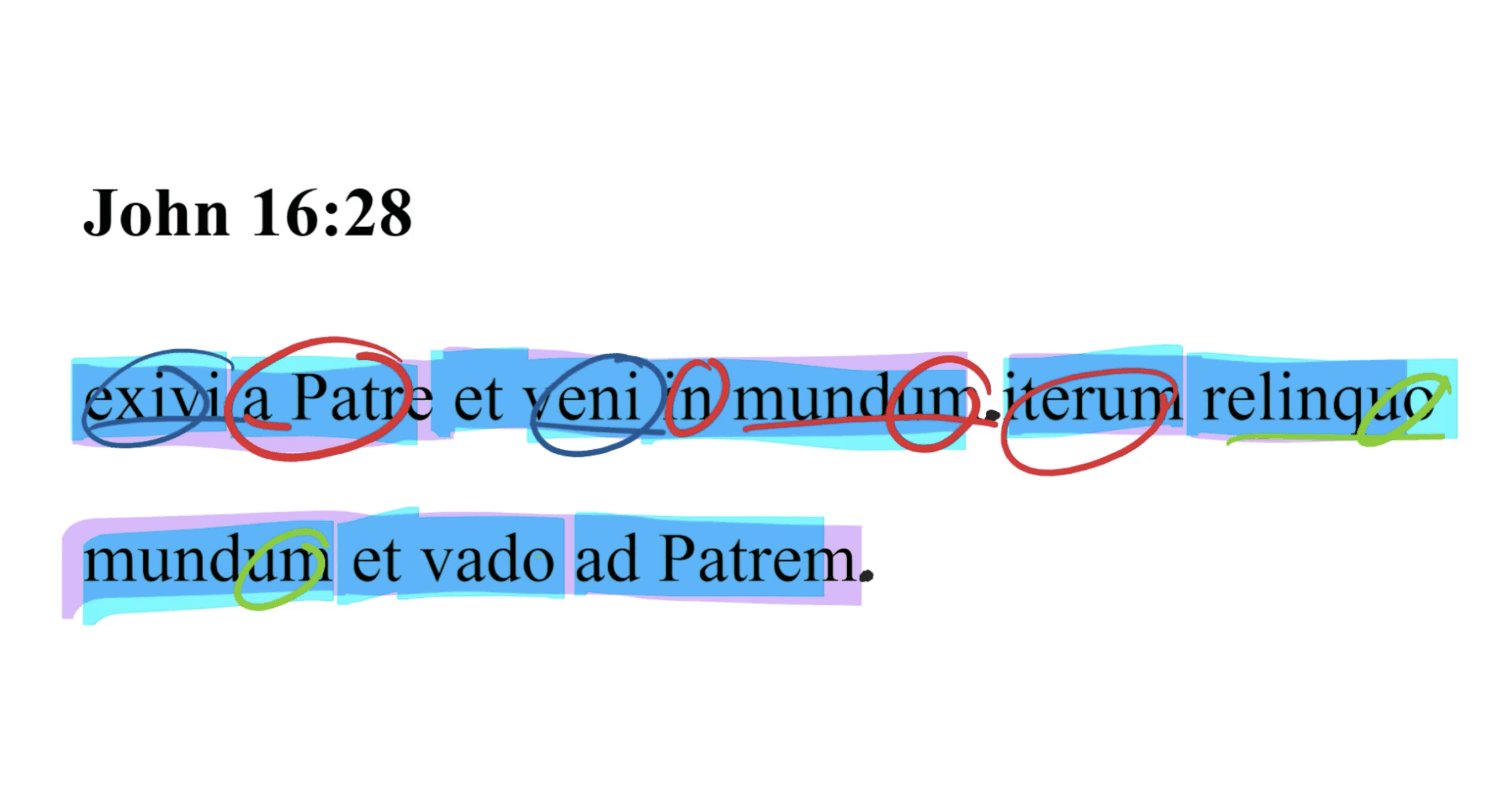 John 16:28 Latin Vulgate | Daily Dose of Latin