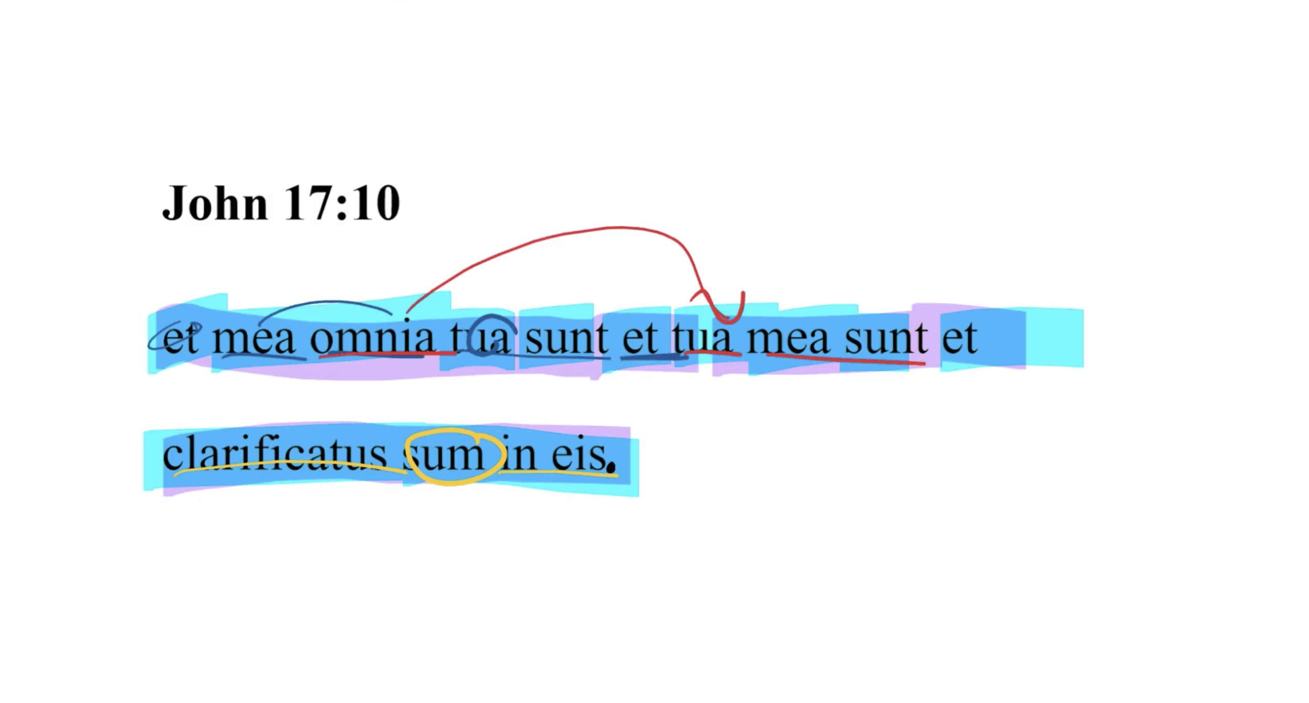 John 17:10 Latin Vulgate | Daily Dose of Latin