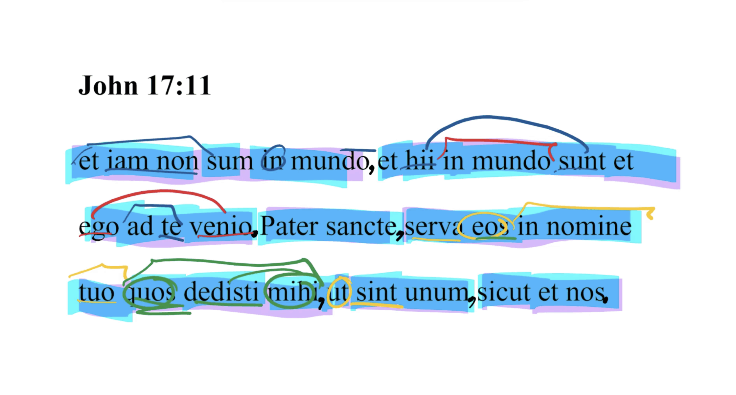 John 17:11 Latin Vulgate | Daily Dose of Latin