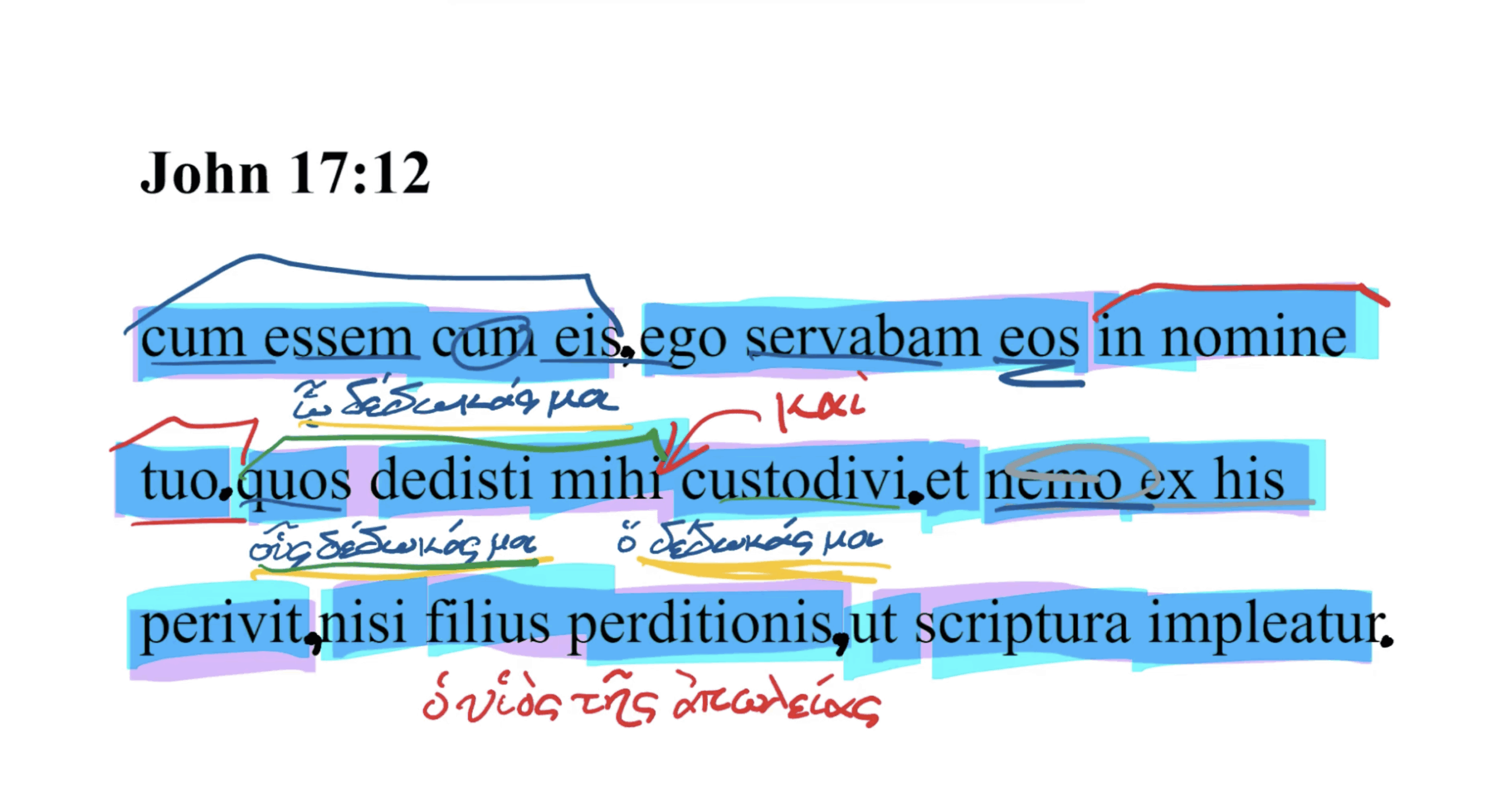 John 17:12 Latin Vulgate | Daily Dose of Latin