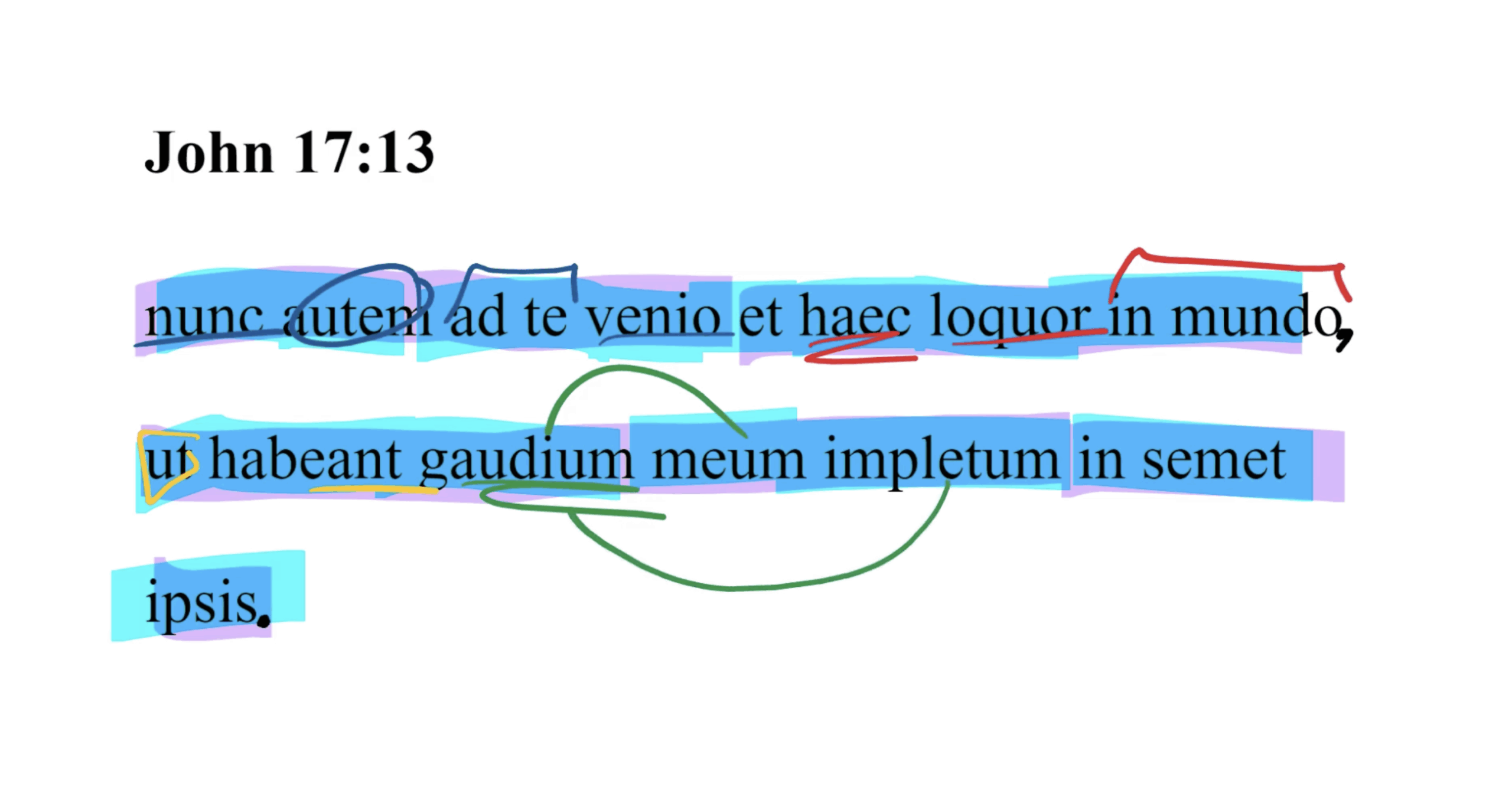 John 17:13 Latin Vulgate | Daily Dose of Latin