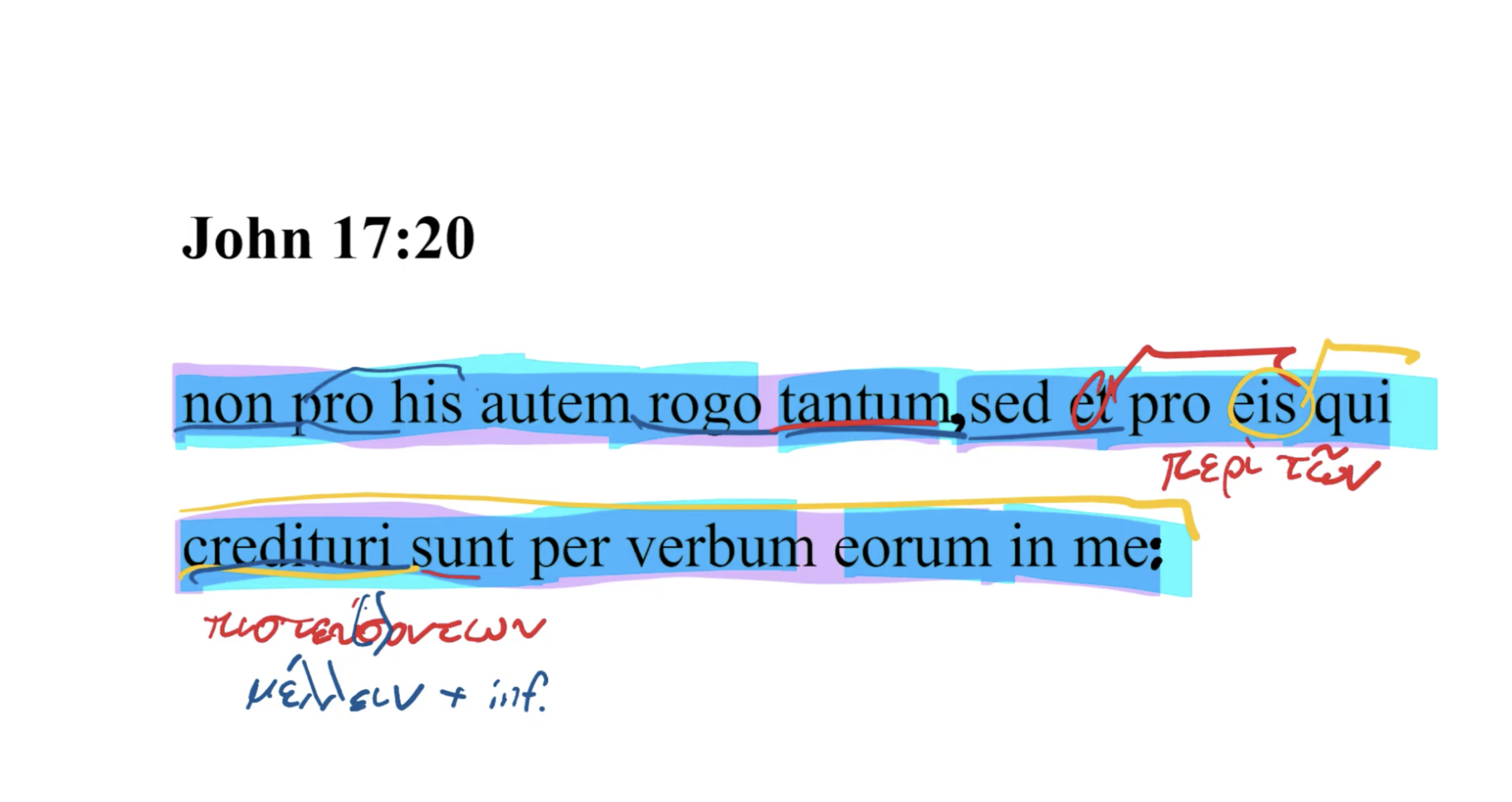 John 17:20 Latin Vulgate | Daily Dose of Latin