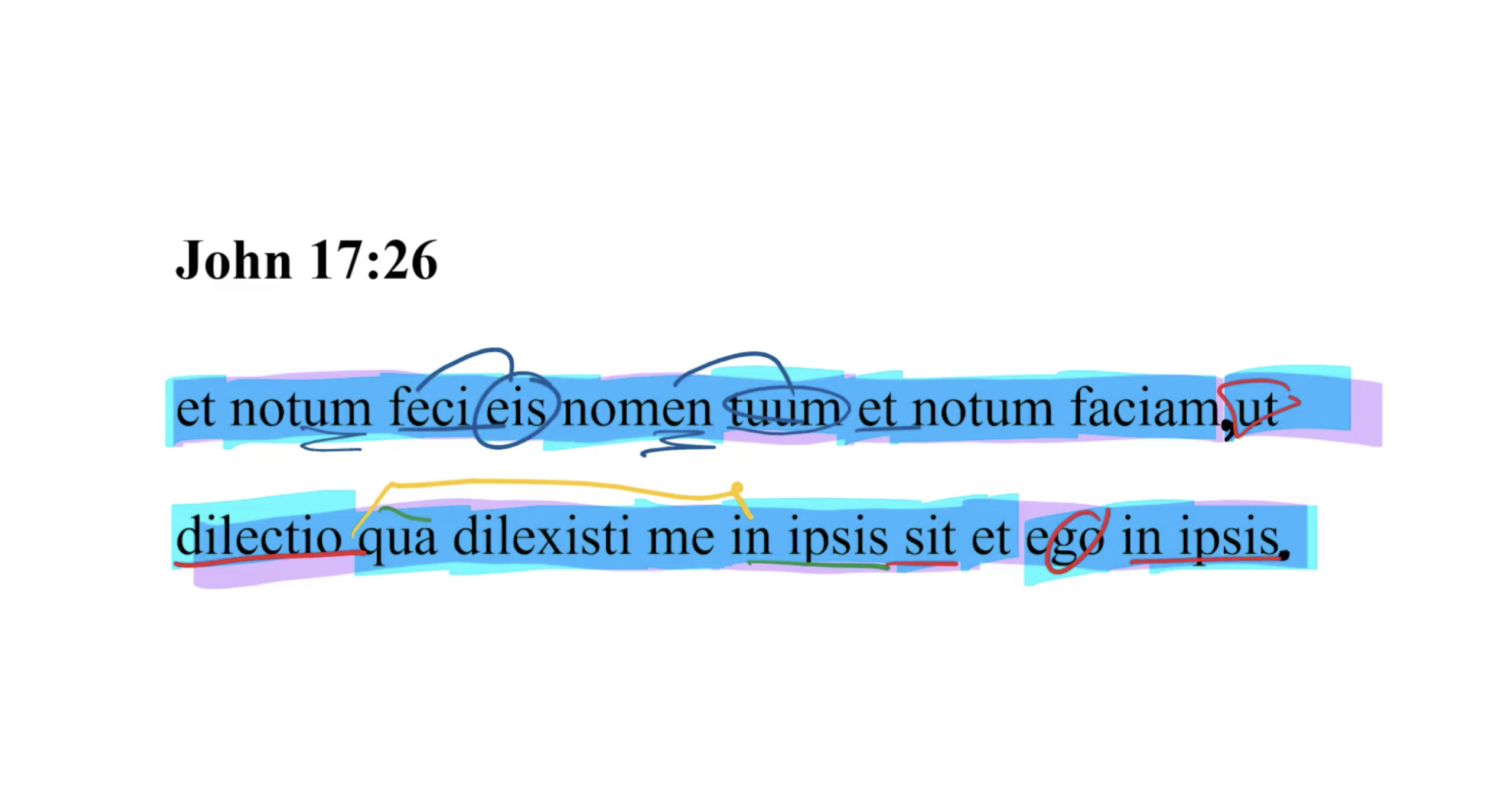 John 17:26 Latin Vulgate | Daily Dose of Latin