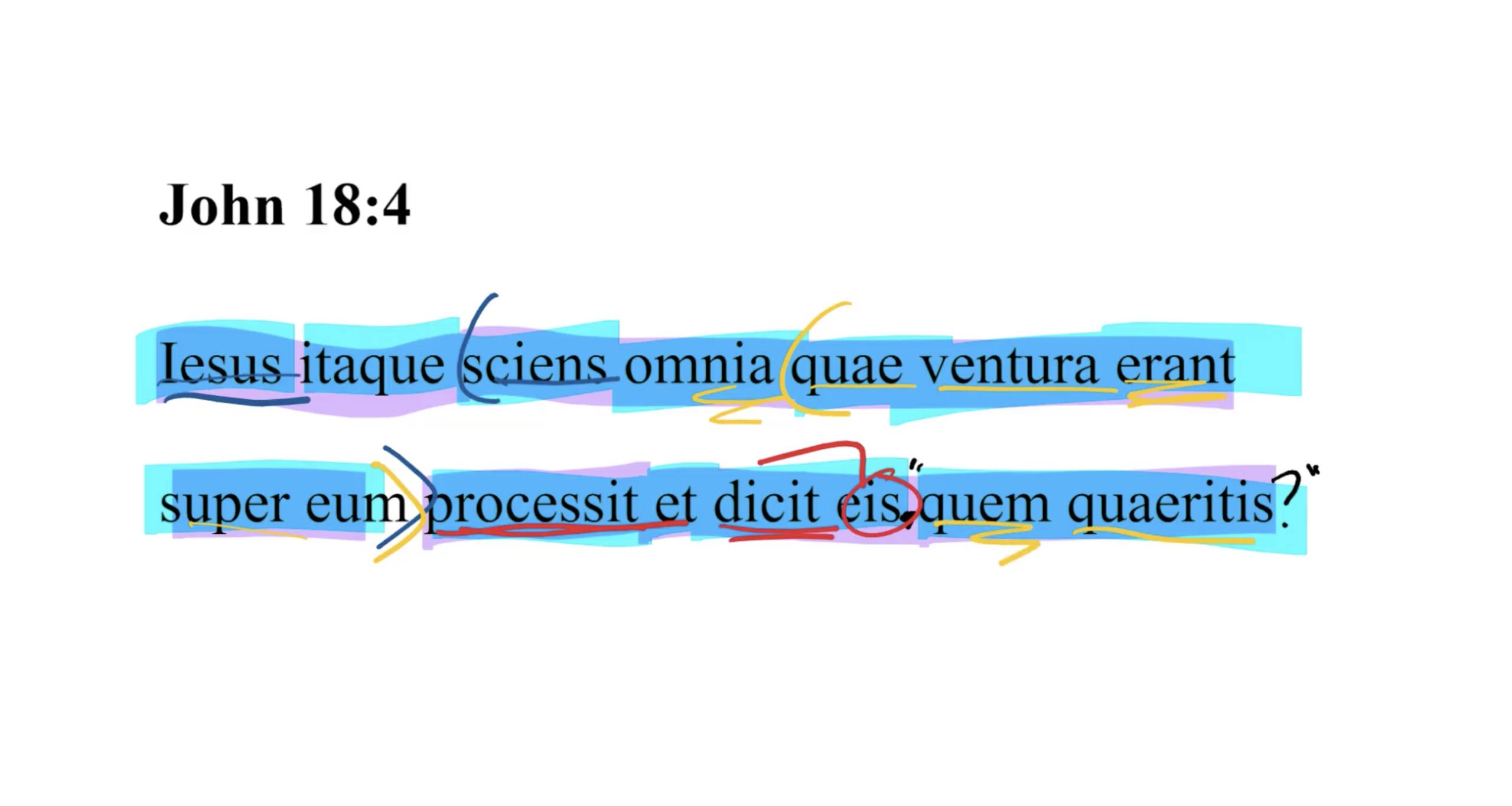 John 18:4 Latin Vulgate | Daily Dose of Latin