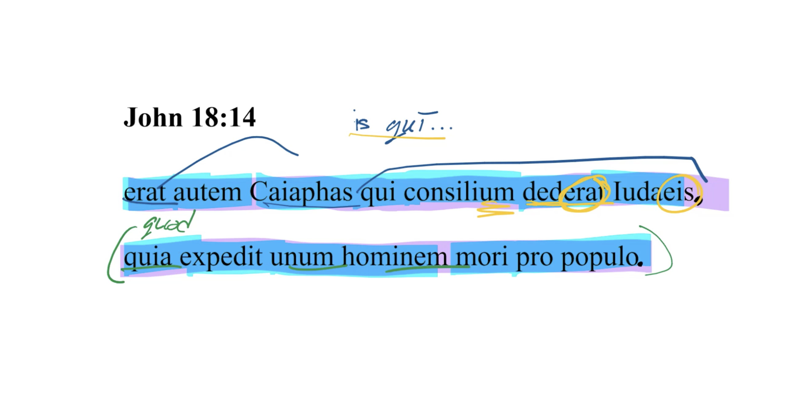 Latin Vulgate John 18:14 | Daily Dose of Latin